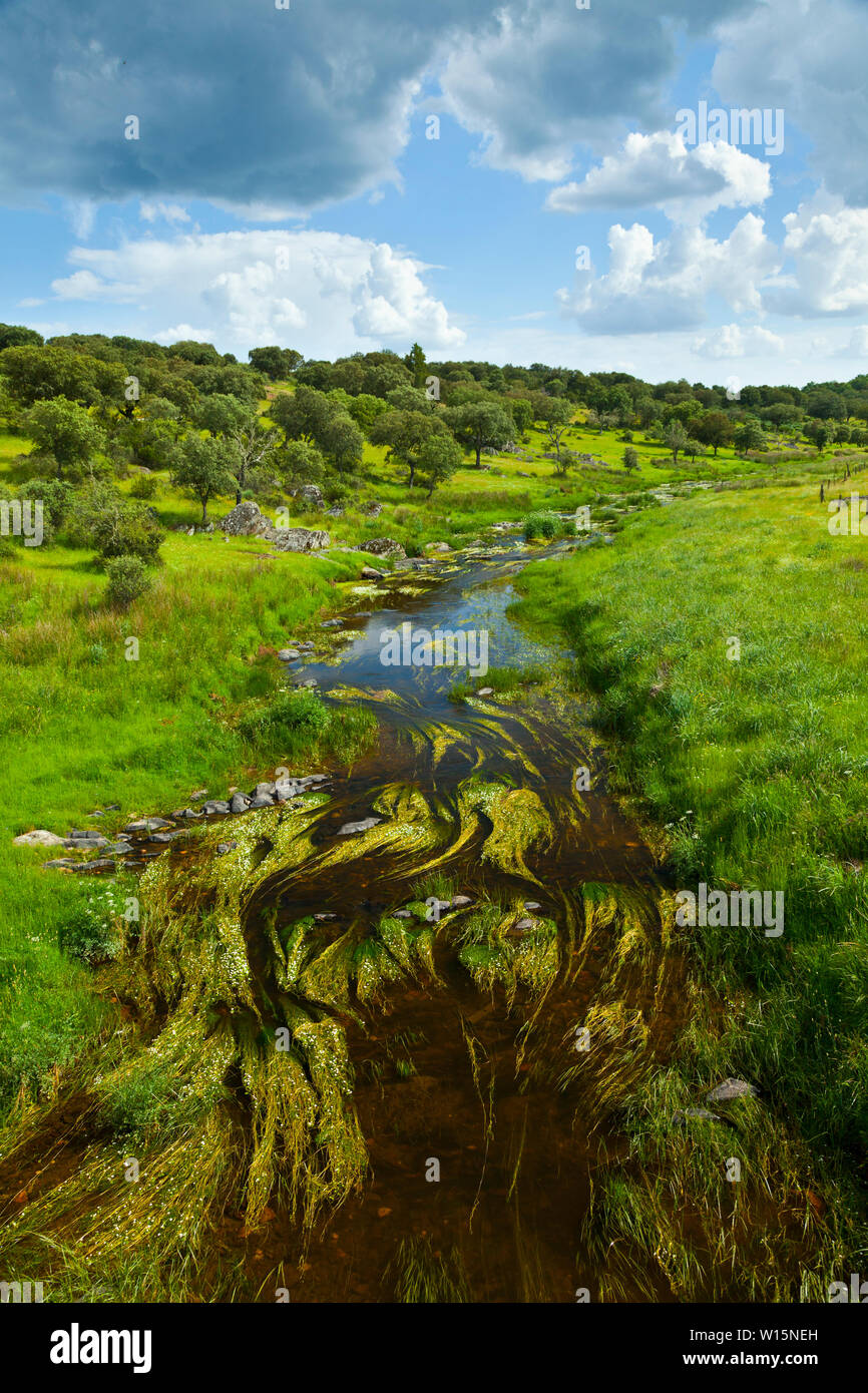 Garciaz river, Garciaz, Las Villuercas, Caceres, Extremadura, Spain ...