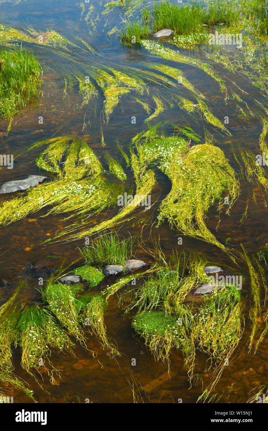 Garciaz river, Garciaz, Las Villuercas, Caceres, Extremadura, Spain ...