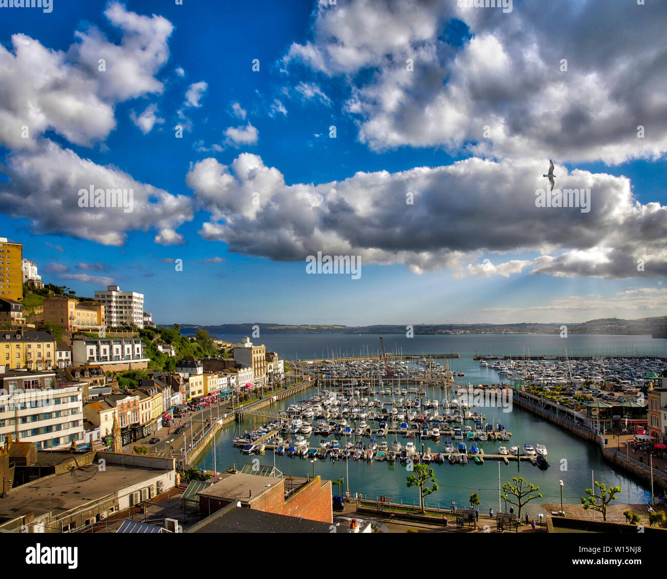 Torbay hi-res stock photography and images - Alamy