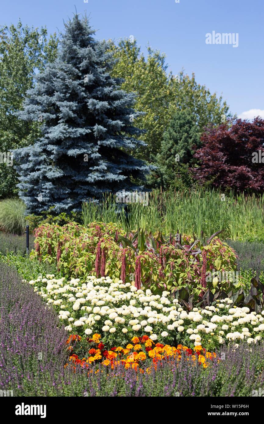 The Oregon Garden in Silverton, Oregon, USA Stock Photo - Alamy