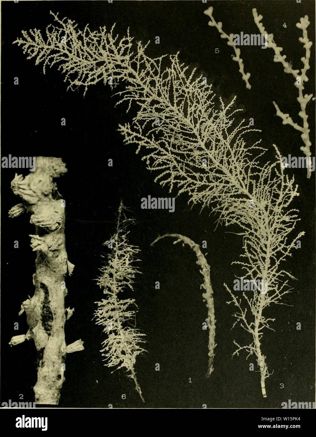 Gravier ch hi-res stock photography and images - Alamy