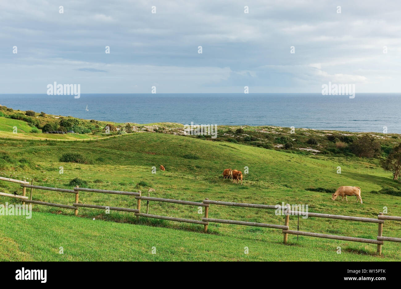 Ancient water meadows hi-res stock photography and images - Alamy