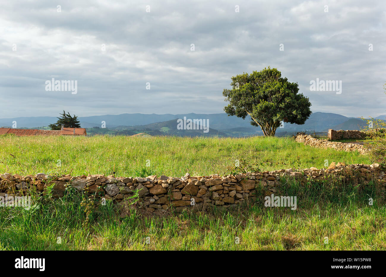 Ancient water meadows hi-res stock photography and images - Alamy