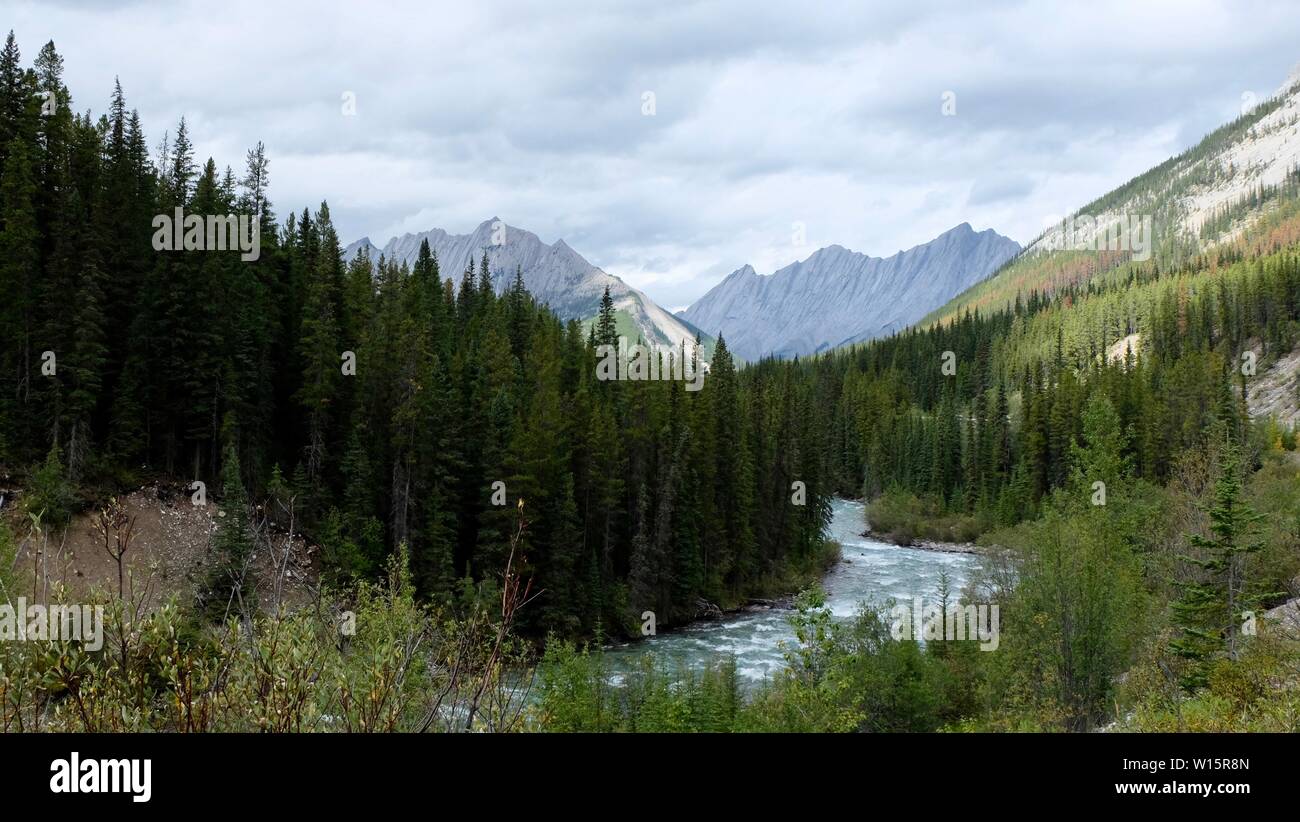 river through wooded valley Stock Photo - Alamy