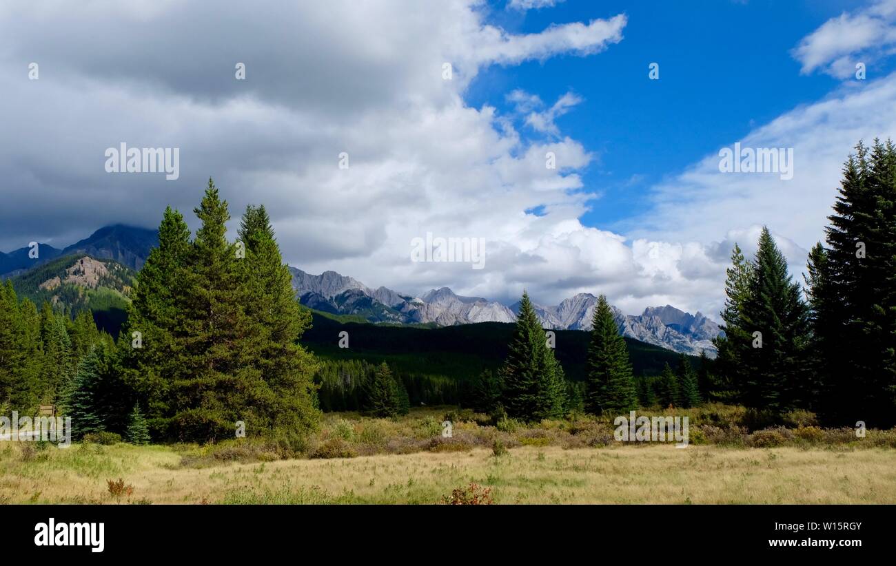 Surrounded by woodland hi-res stock photography and images - Alamy