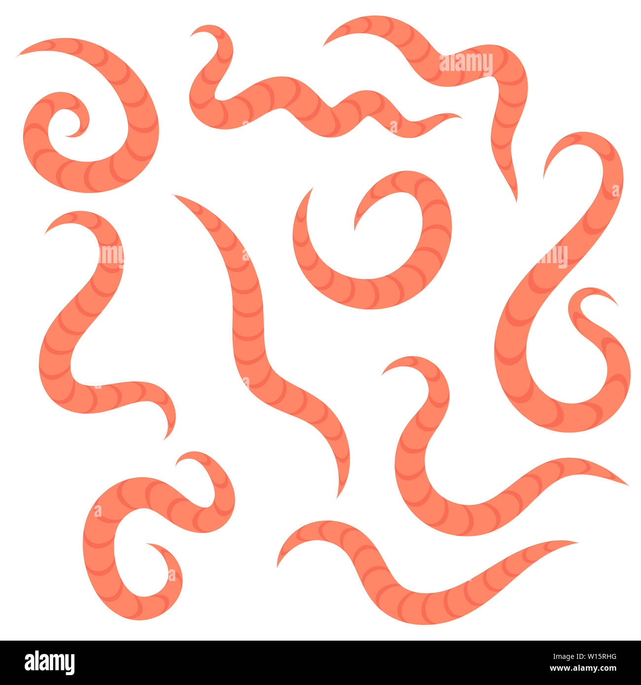 Ascarid, Helminth, Pinworm, Threadworm. Parasite Isolated on White ...