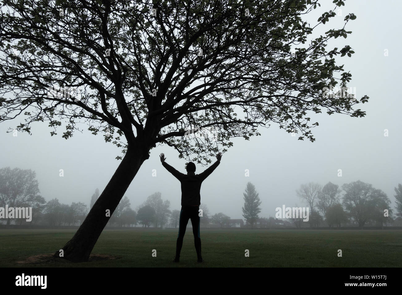 Rear view of male jogger stretching under tree on mist morning. Shinrin ...
