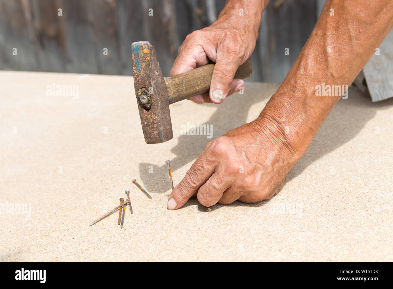 Old hammer and nail in the hands of an elder man. Carpenter hammers a ...