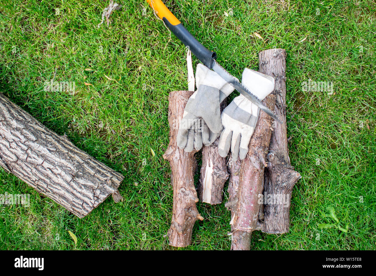 Chump hi-res stock photography and images - Alamy