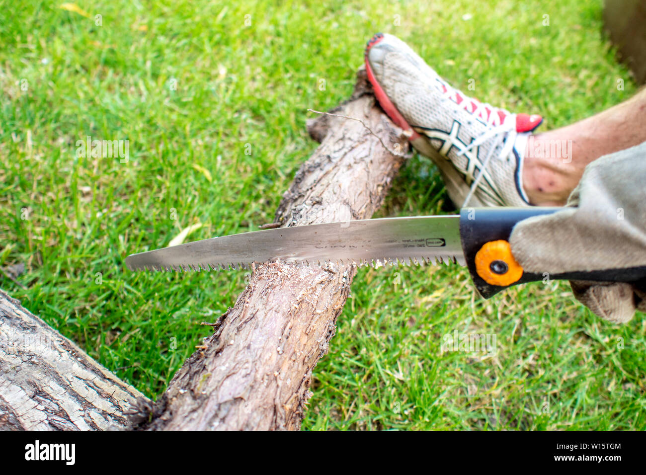 a man working with hand saw while sawing a chump of wood Stock Photo ...