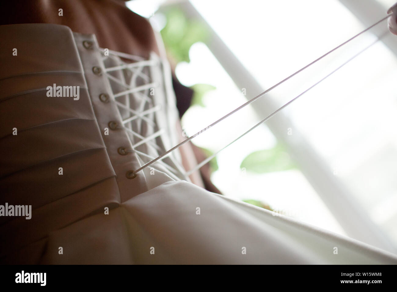 Bride from the back. Lacing the wedding dress Stock Photo - Alamy