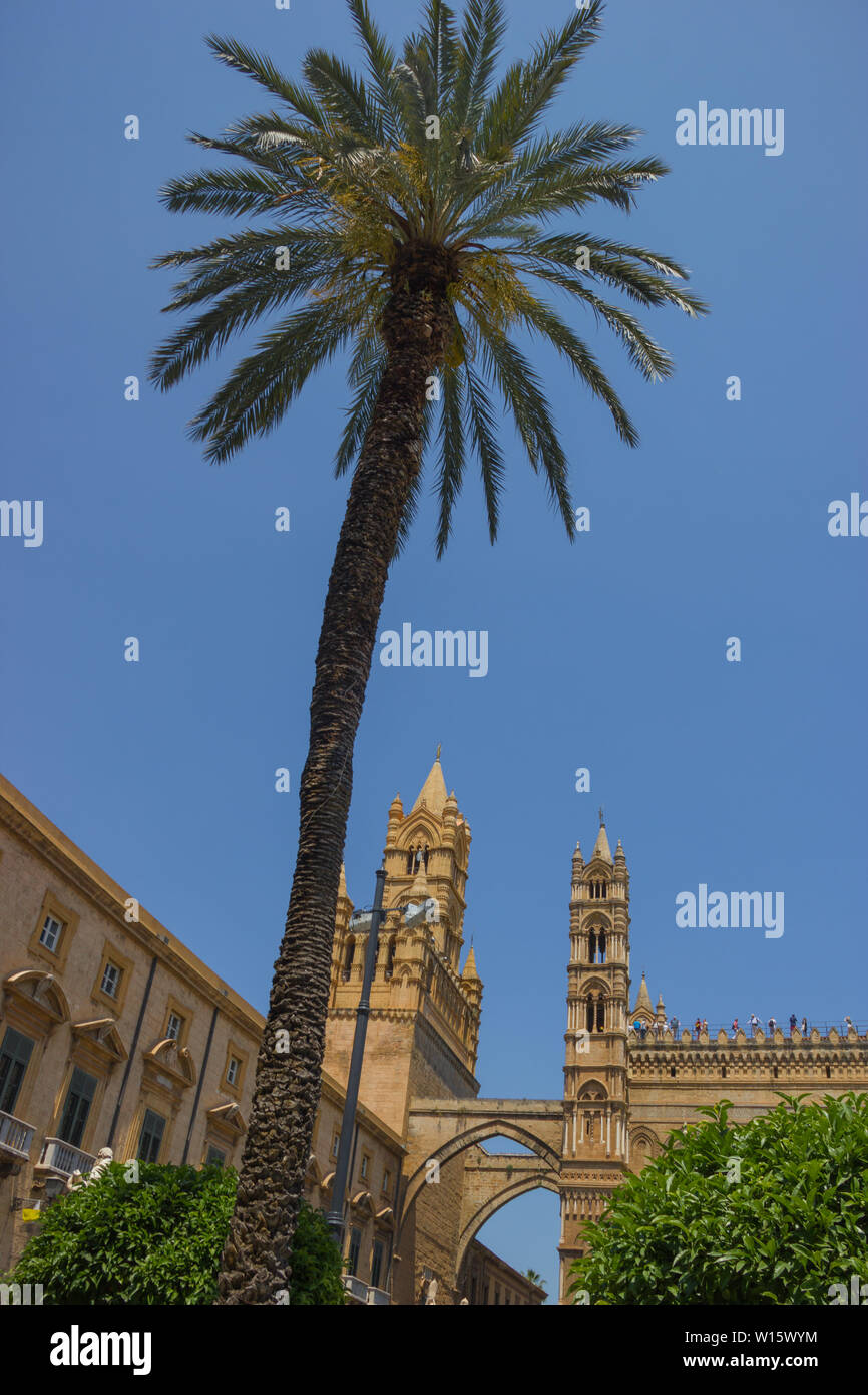 Vertical view of arches at the cathedral of Palermo Sicily, view of ...