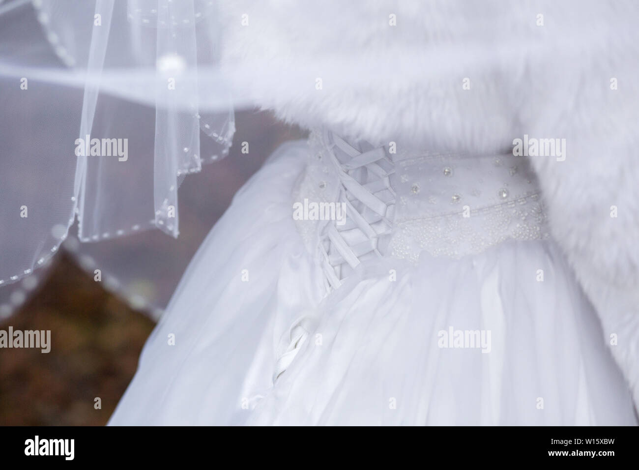 Bride from the back in a wedding dress Stock Photo - Alamy