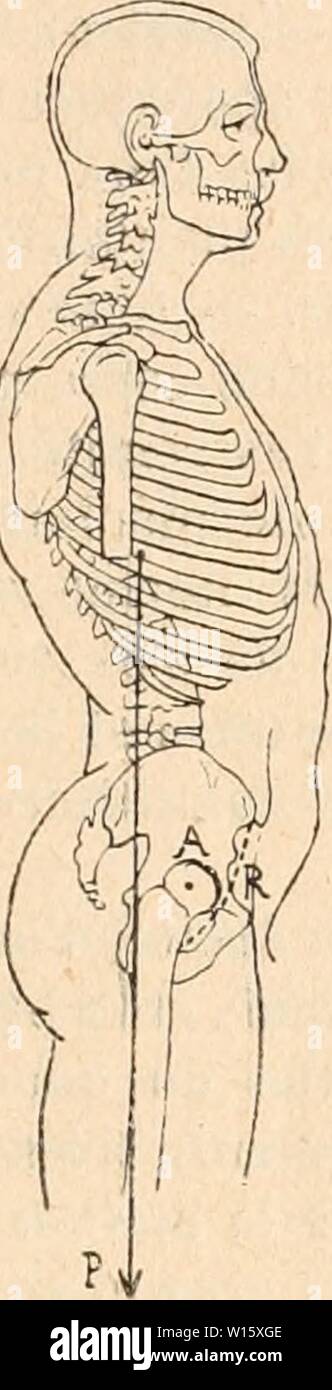 Corps humain hi-res stock photography and images - Alamy