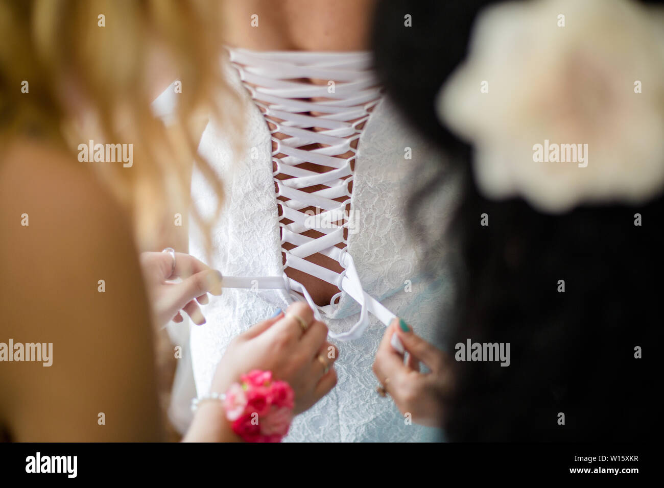 Bride from the back. Lacing the wedding dress Stock Photo - Alamy