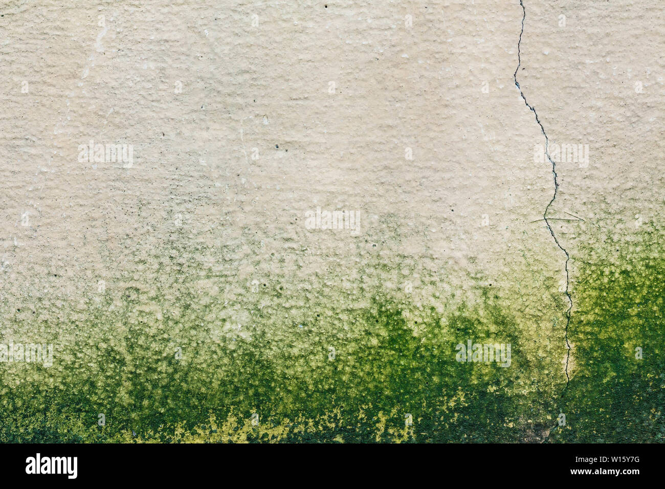 Damp Musty High Resolution Stock Photography and Images - Alamy