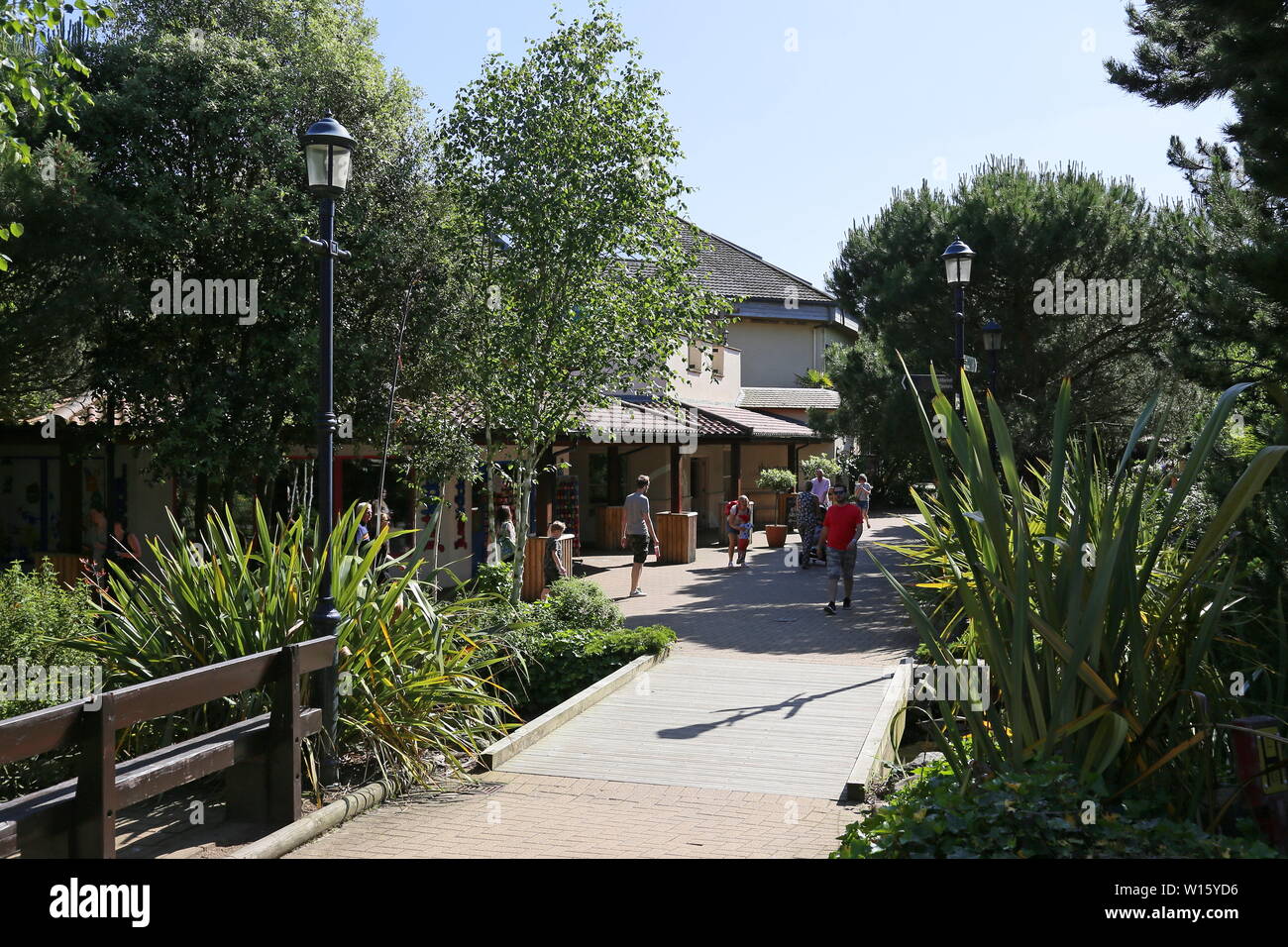 Brandon park suffolk hi-res stock photography and images - Alamy