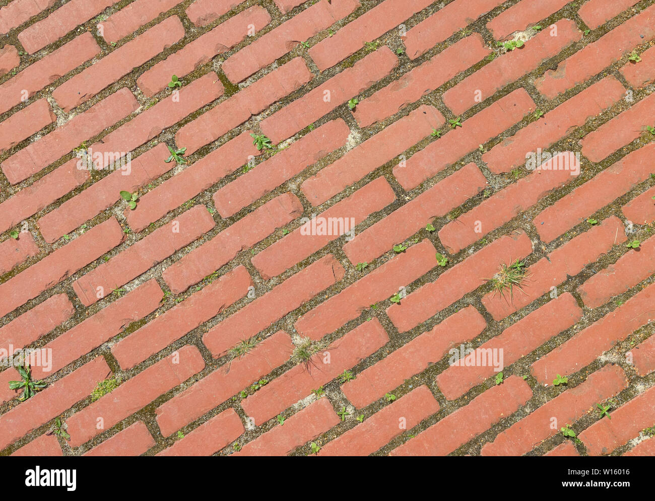 Red street paving tile hi-res stock photography and images - Alamy