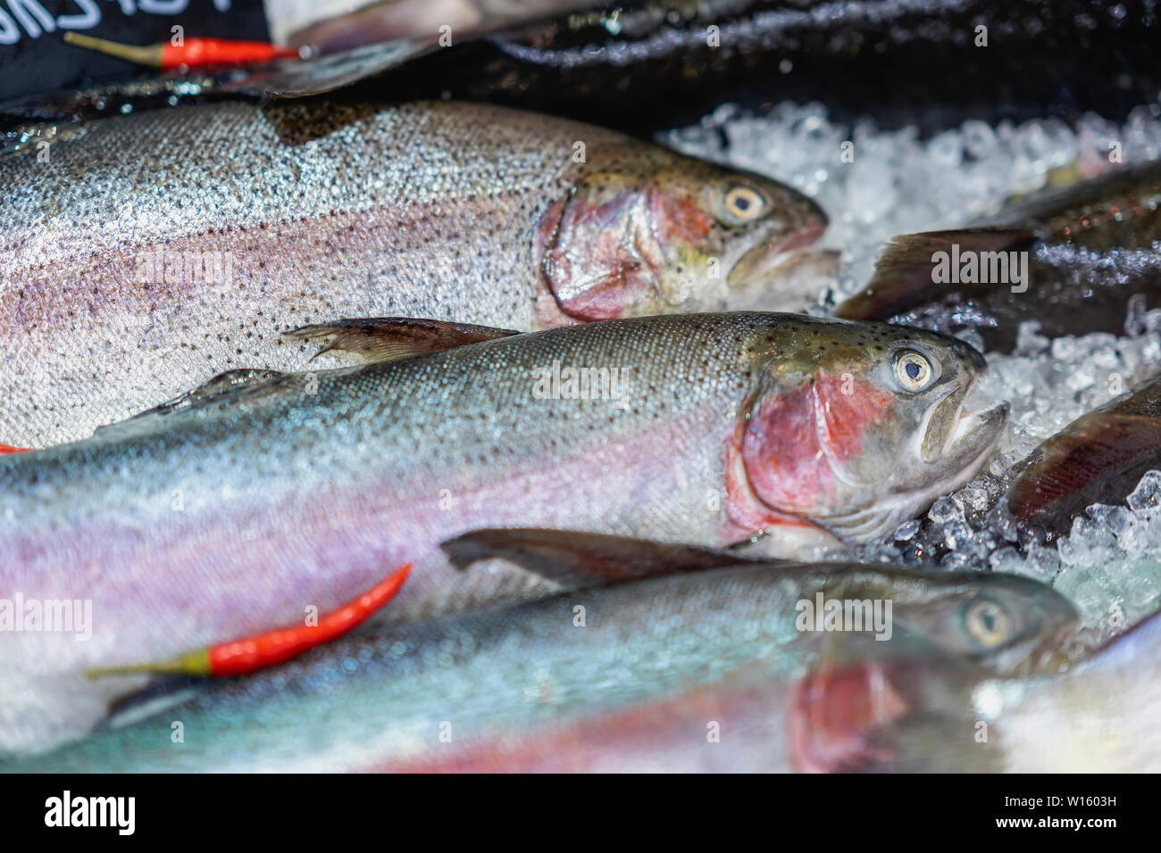 Fresh fish, salmon on ice, on the counter in supermarket. Open ...