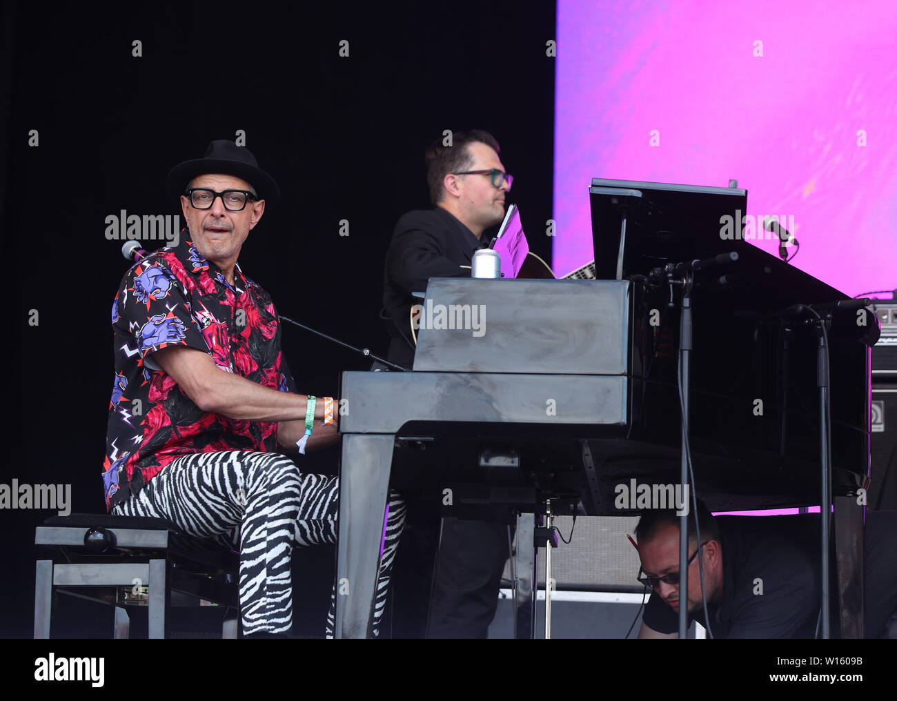 Actor Jeff Goldblum & the Mildred Snitzer Orchestra performing at the ...