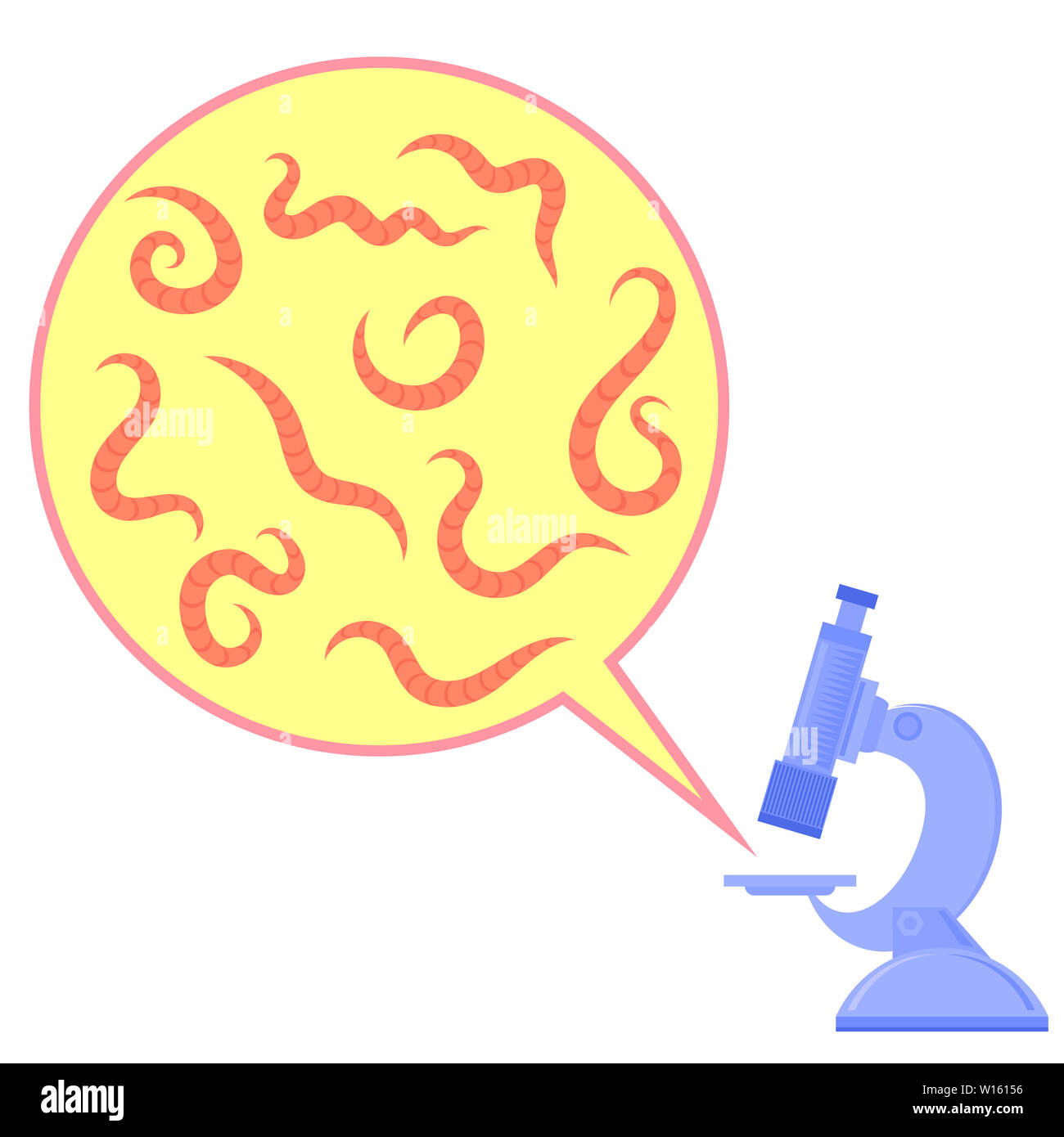 Pinworm hi-res stock photography and images - Alamy