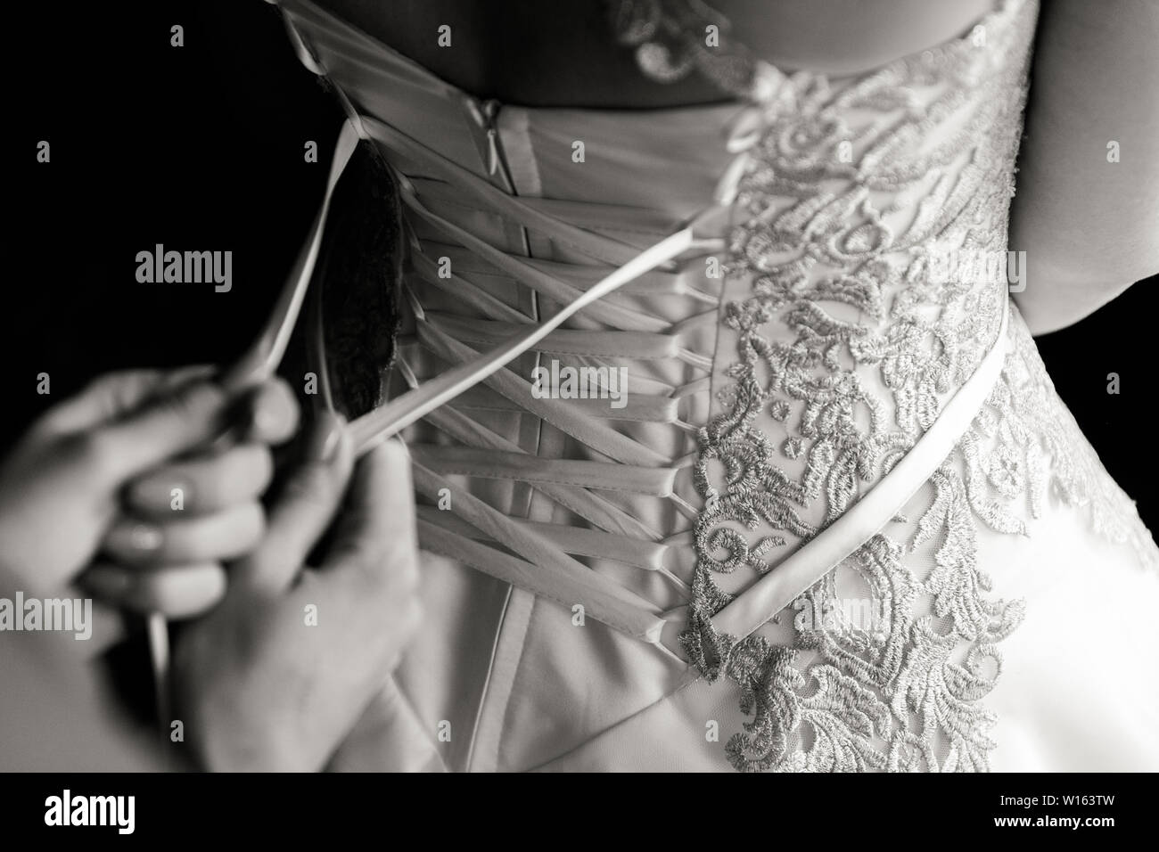 Bride from the back. Lacing the wedding dress Stock Photo - Alamy