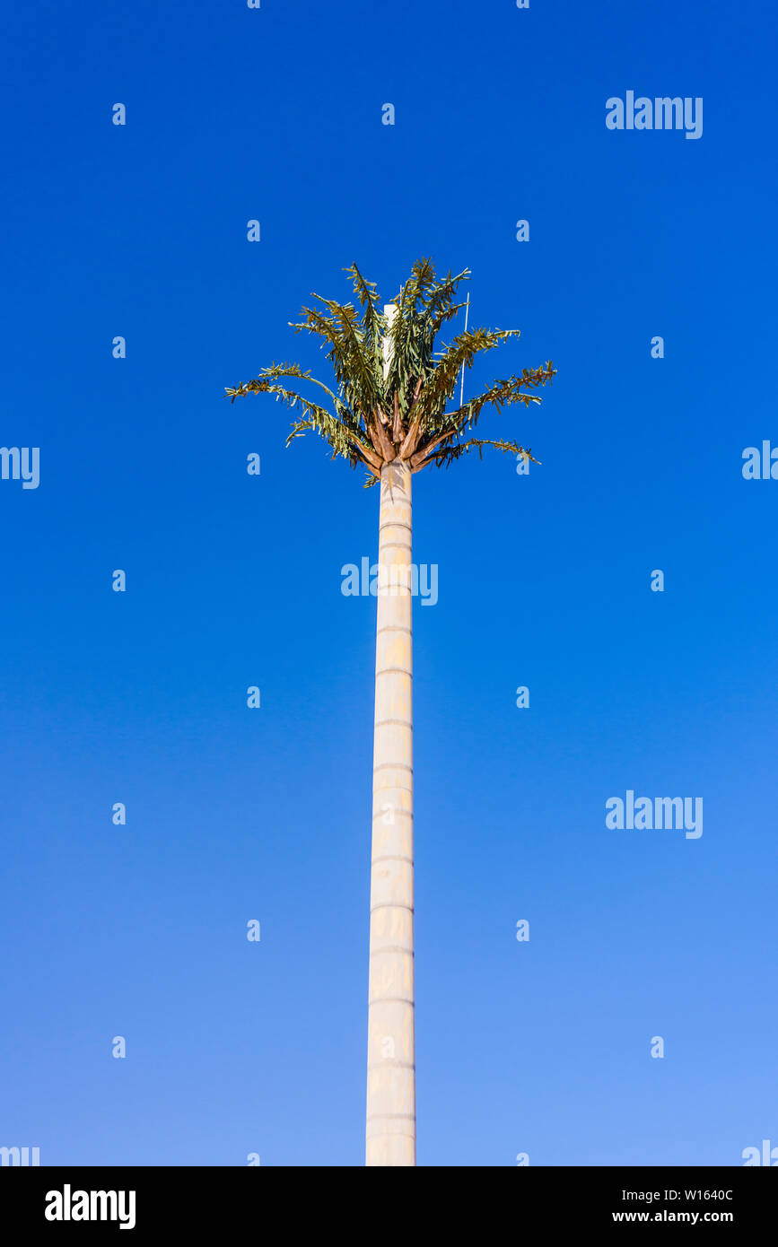 Mobile phone antenna mast disguised as a large palm tree with leaves ...