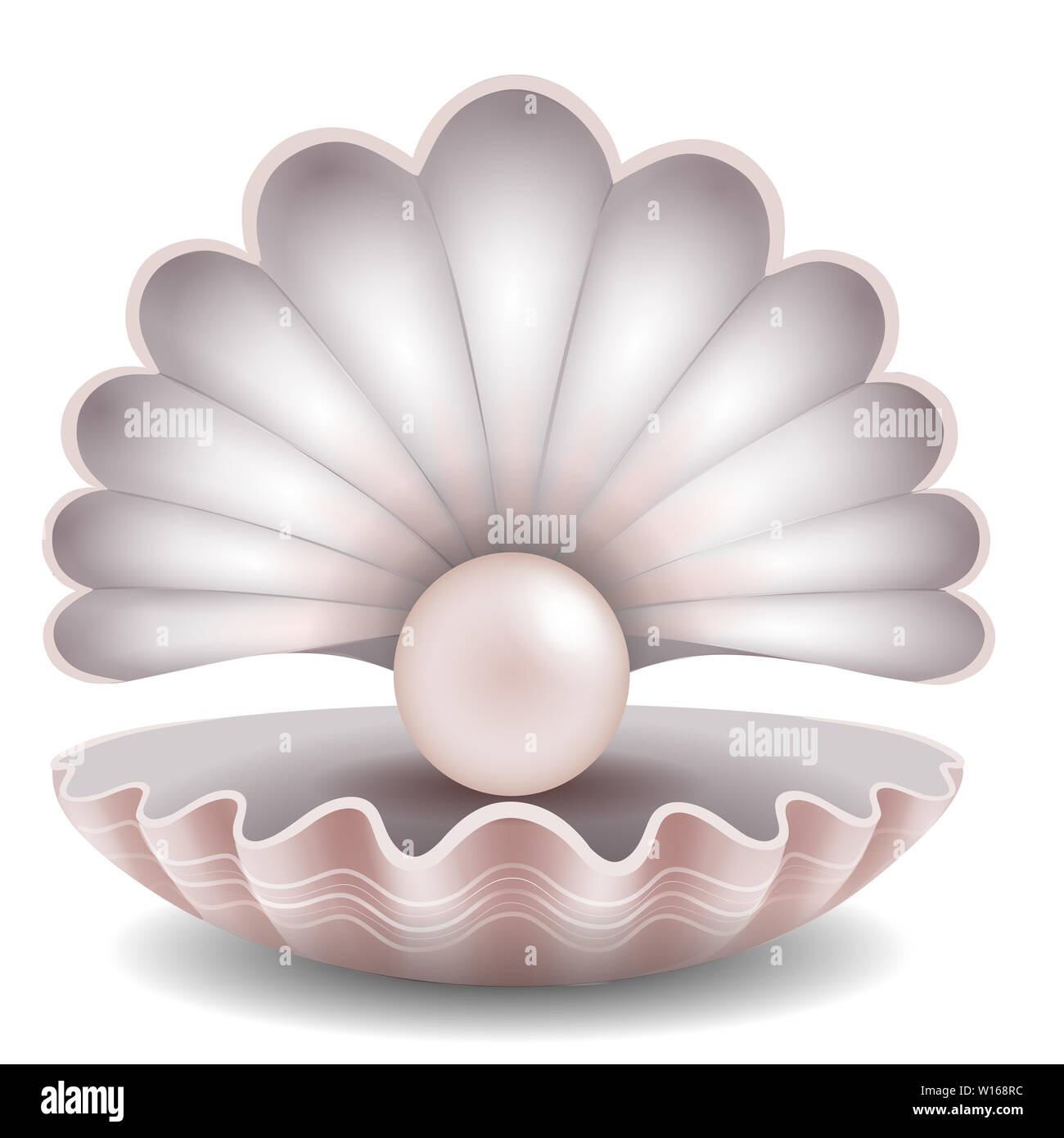 pink pearl in seashell illustration Stock Photo - Alamy