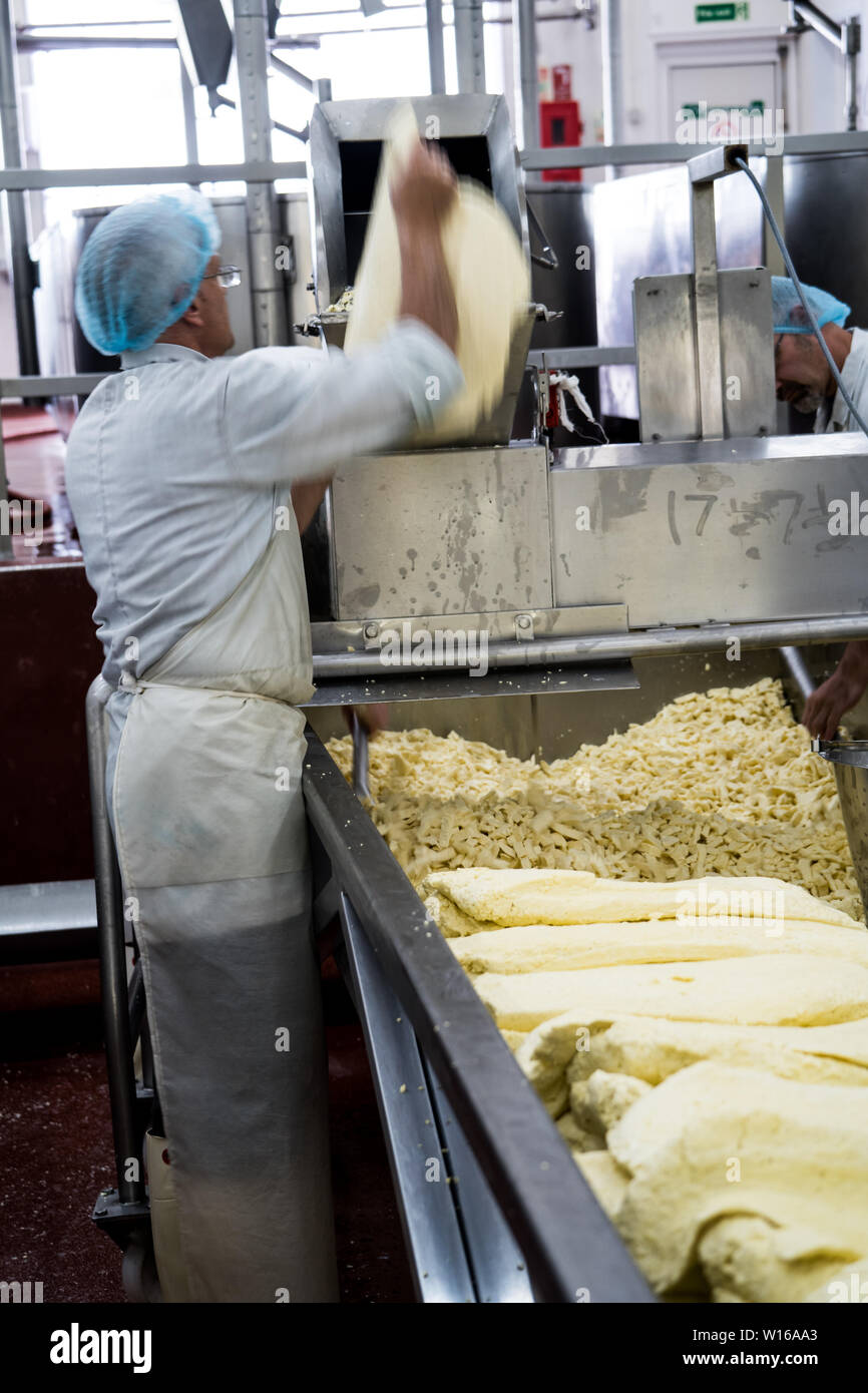 Cheese production britain hi-res stock photography and images - Alamy
