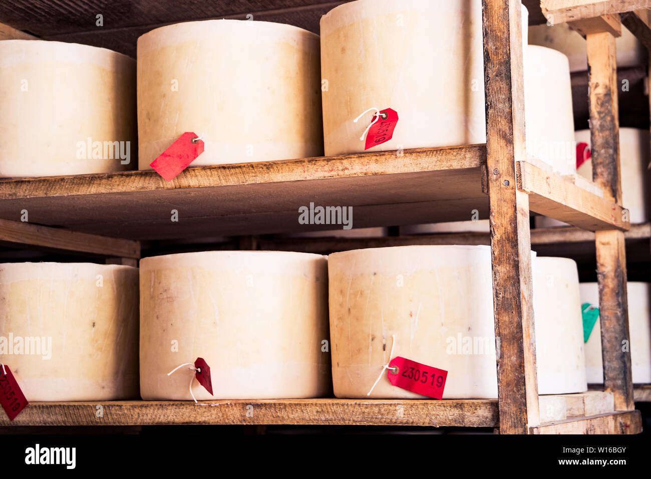 Cloth-bound truckles of cheddar maturing at Quicke's cheese, Devon, UK ...