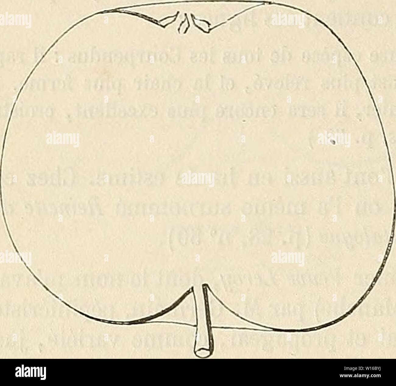 George steuart mackenzie hi-res stock photography and images - Alamy