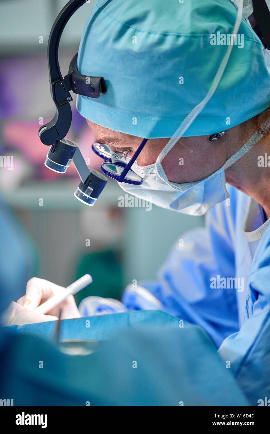 Female plastic surgeon, shot while working in the operating room. Real ...