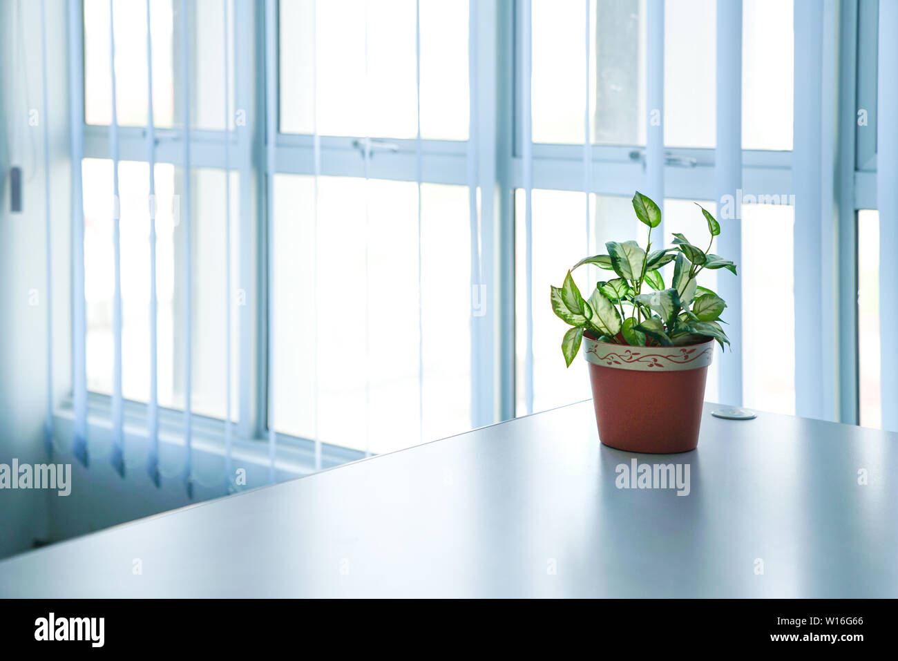 Clean and simple look of an office room or work place with copy space ...