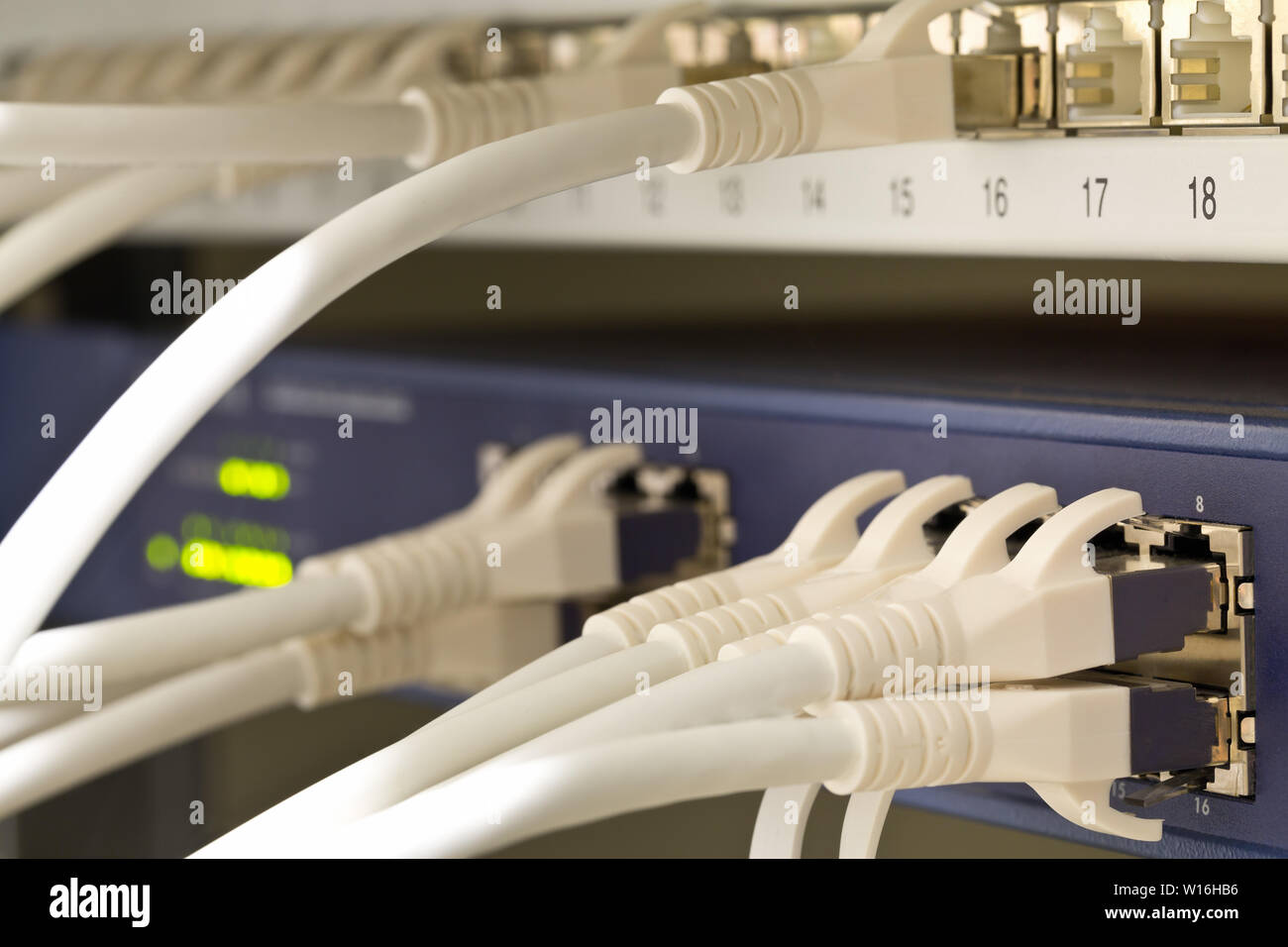 White network cables in network switch and patch box in server room ...