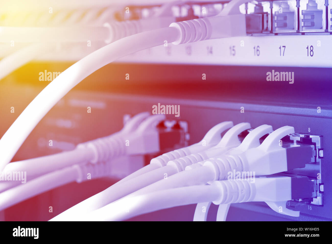 Network cables in network switch and patch box in server room - close ...