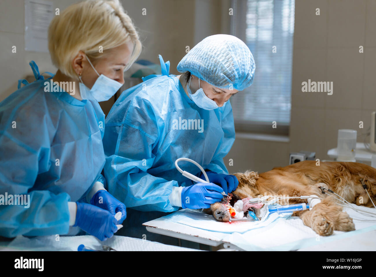 Nurse Cleaning Teeth High Resolution Stock Photography and Images - Alamy