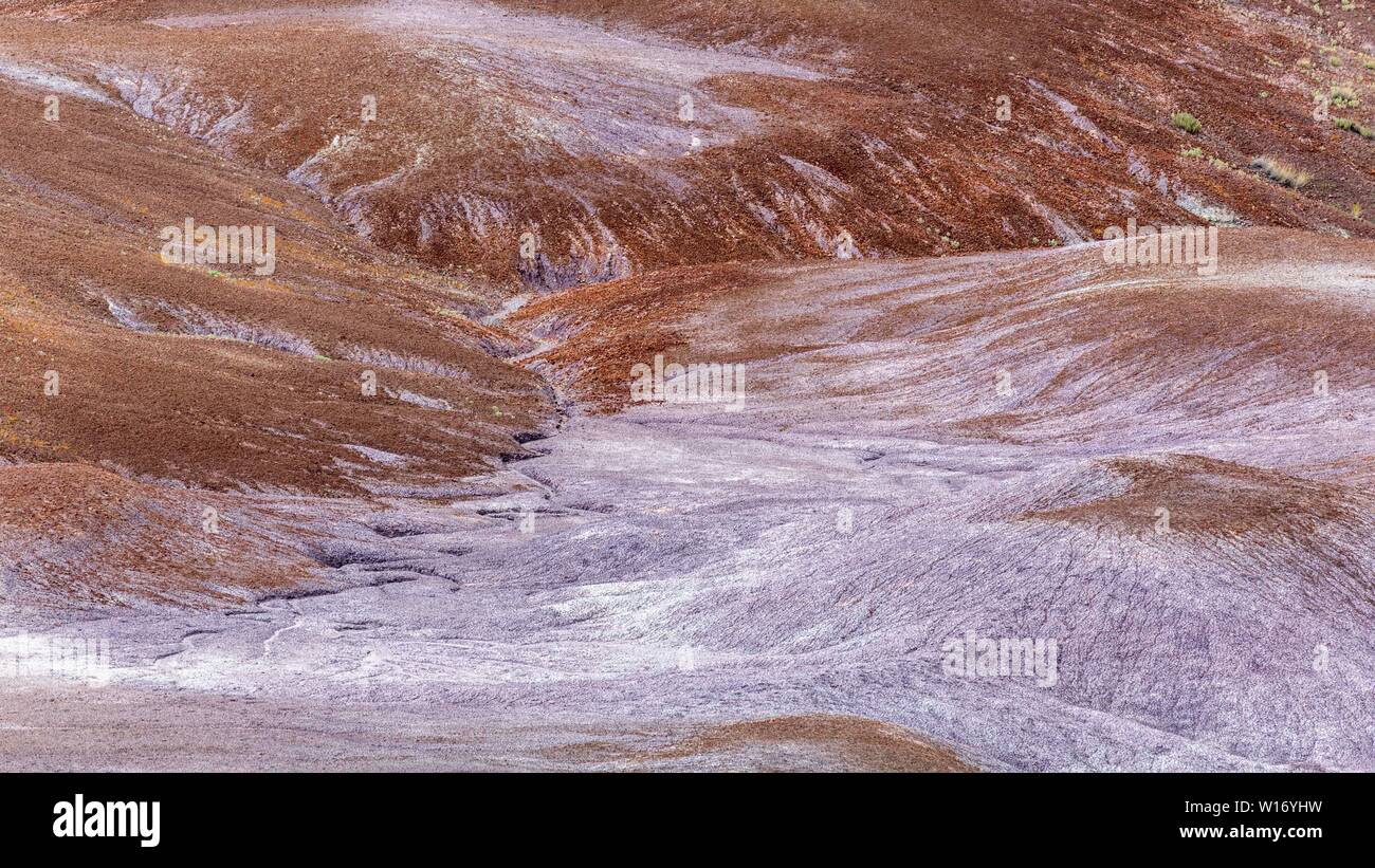 Painted Desert channel washout Stock Photo - Alamy