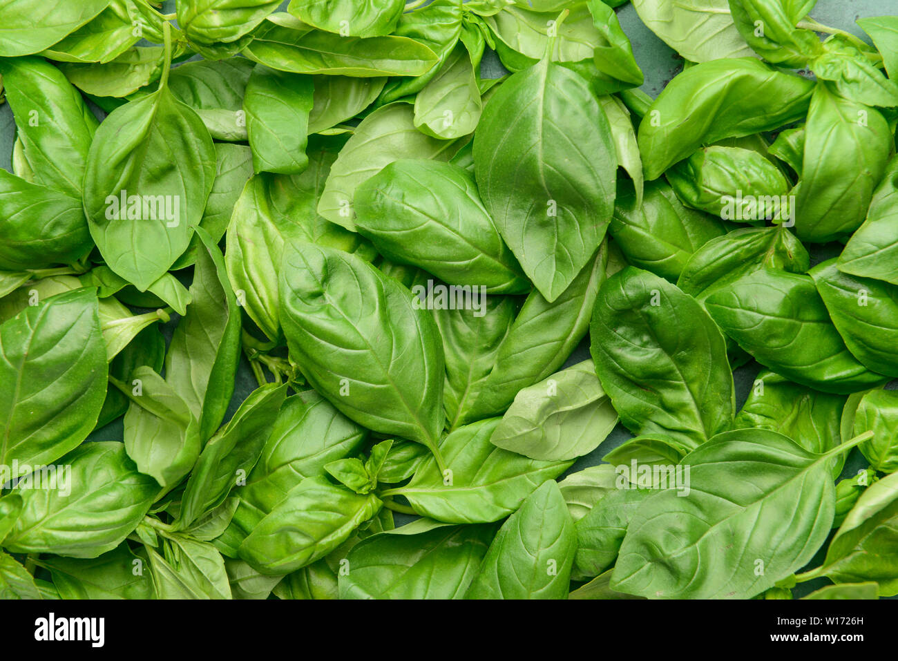 Fresh green basil as background Stock Photo - Alamy