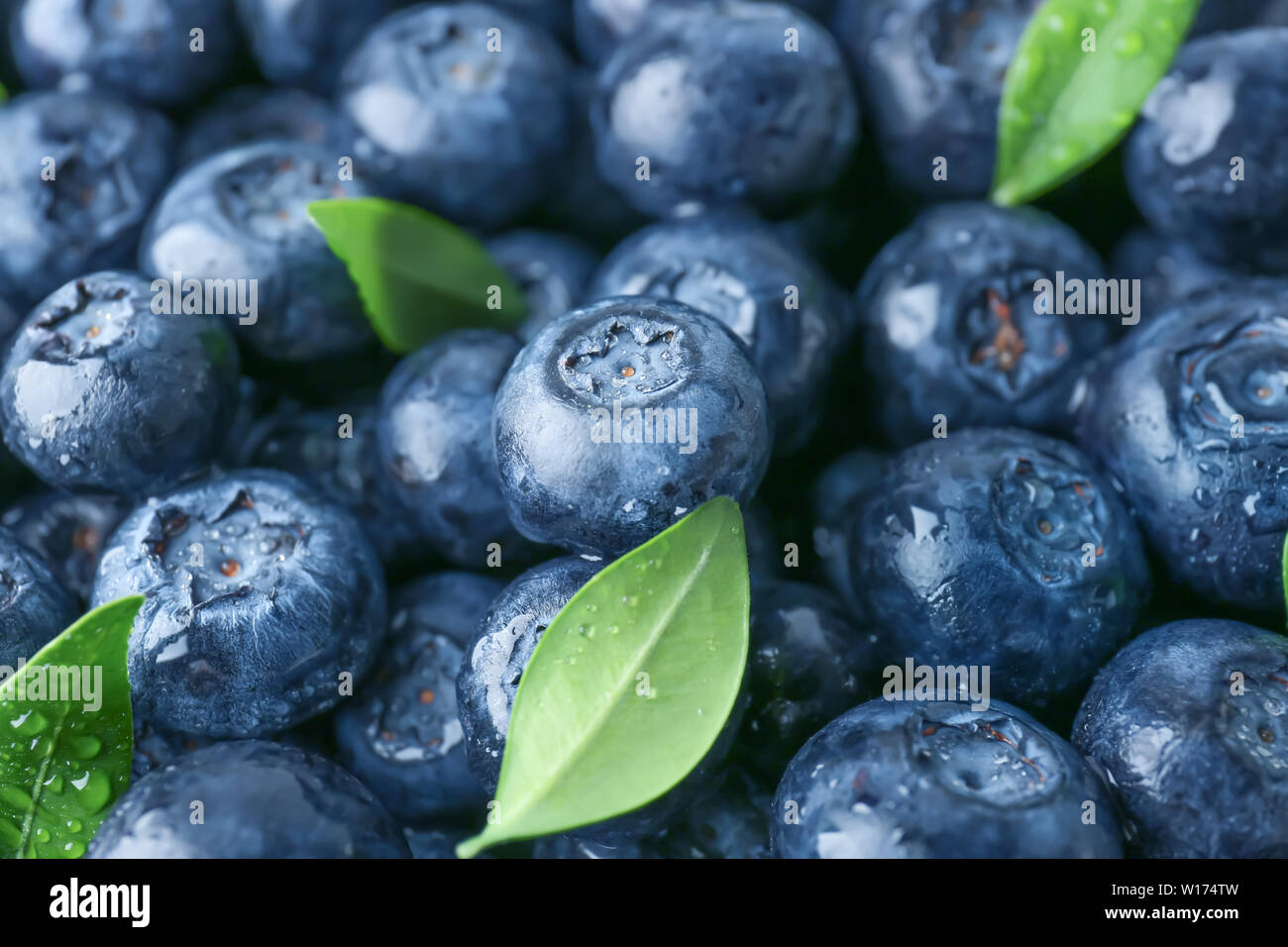 Many ripe blueberry, closeup view Stock Photo - Alamy
