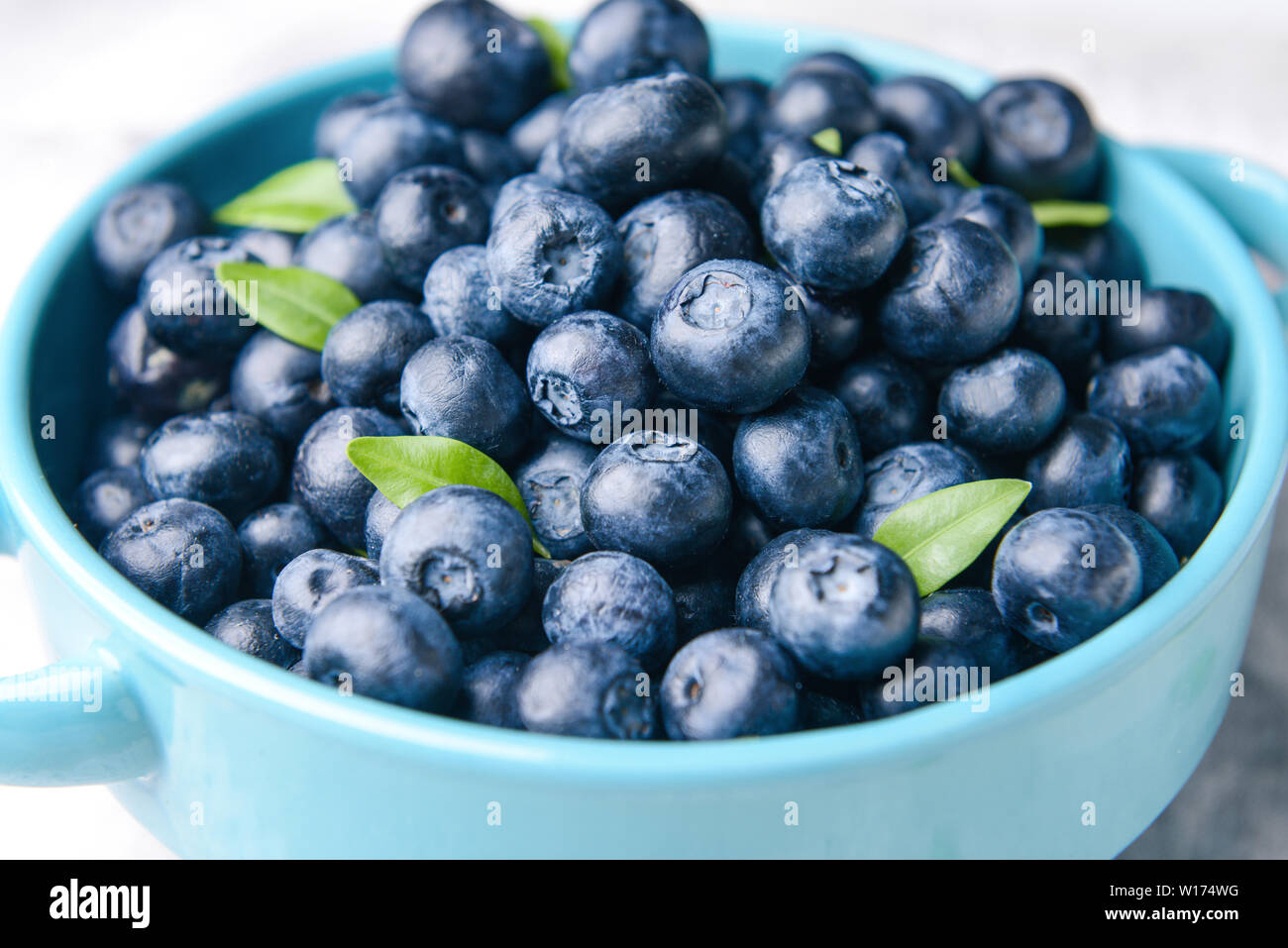 Blueberry in pot hi-res stock photography and images - Alamy