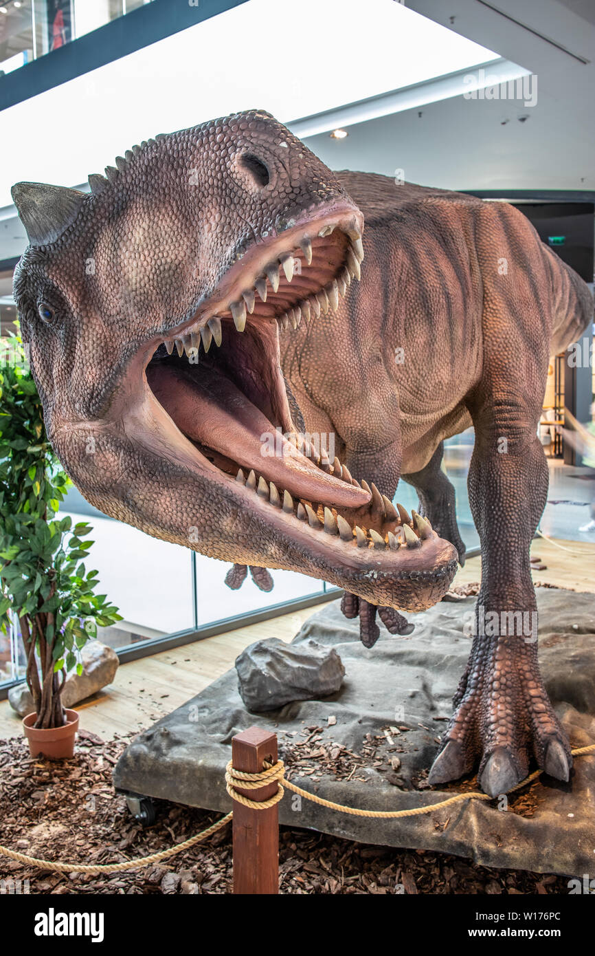 Lodz, Poland, May 2019 Allosaurus dino, shopping entertainment center ...