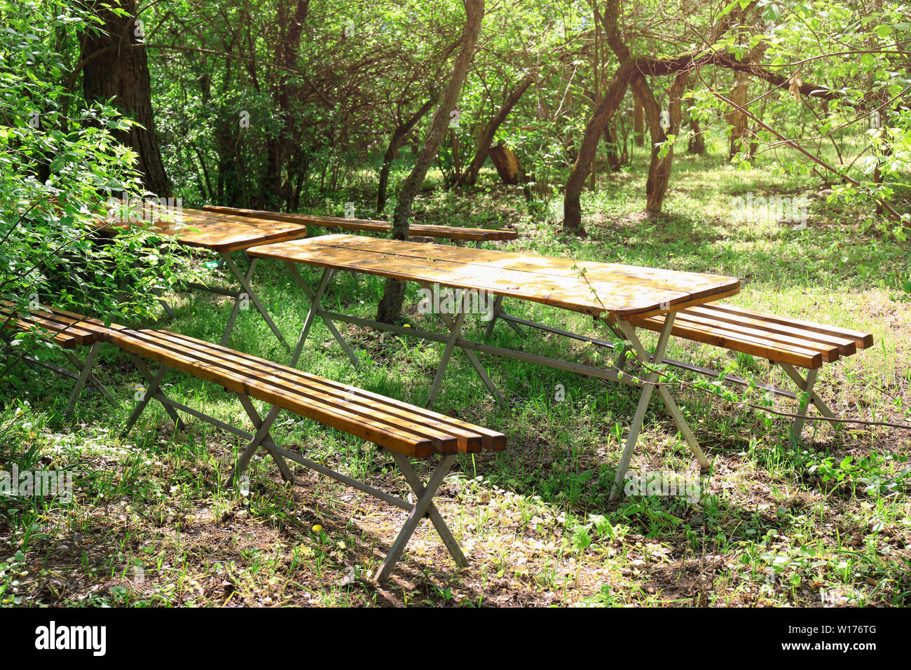 Wooden tables with benches in forest Stock Photo - Alamy