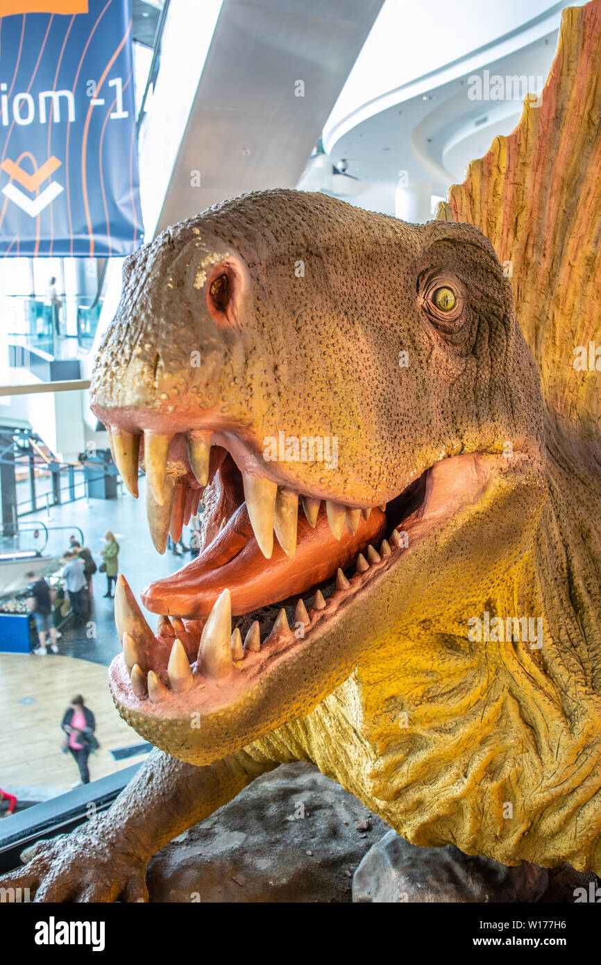 Extinct genus of synapsids hi-res stock photography and images - Alamy