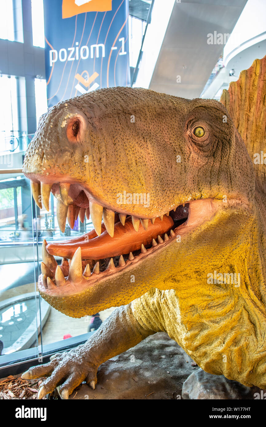 Dimetrodon fossil hi-res stock photography and images - Alamy