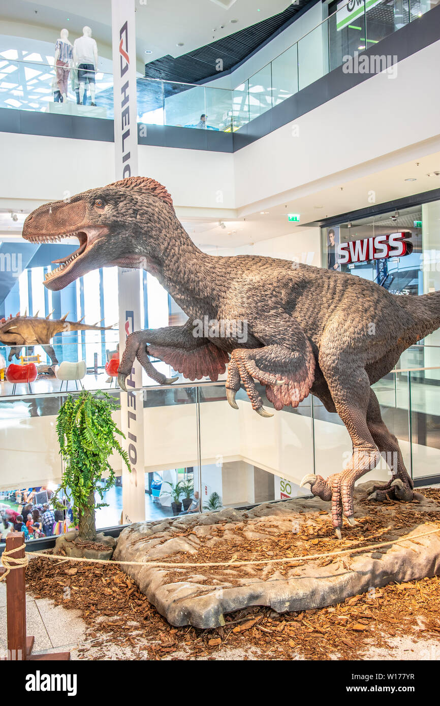 Dromaeosaurid theropod dinosaur hi-res stock photography and images - Alamy