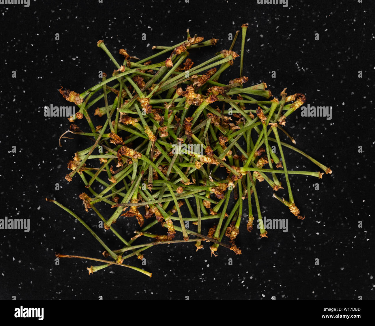 Cherry stems hi-res stock photography and images - Alamy