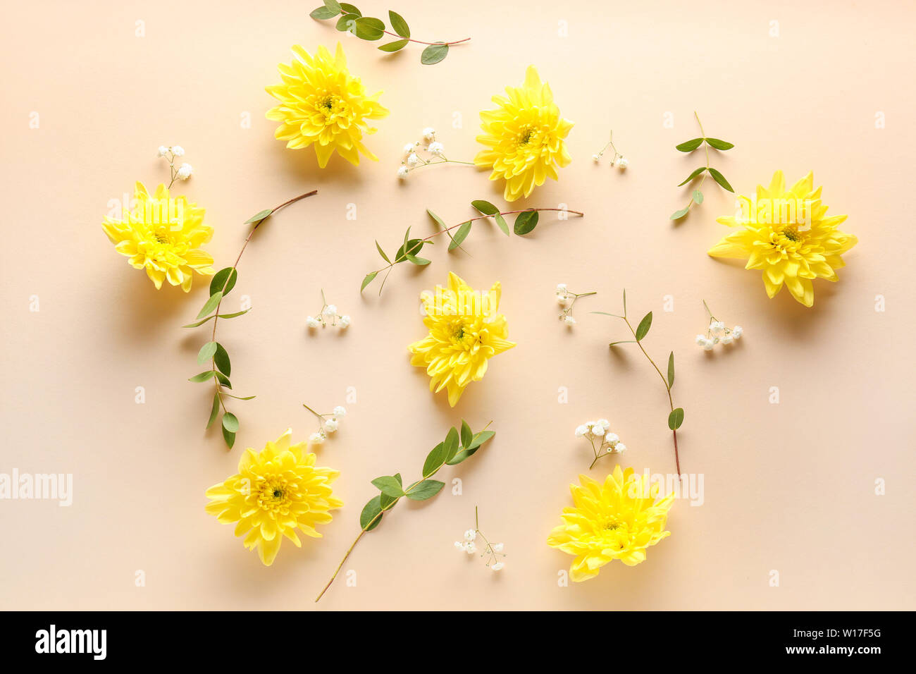 Beautiful flower composition on color background Stock Photo - Alamy