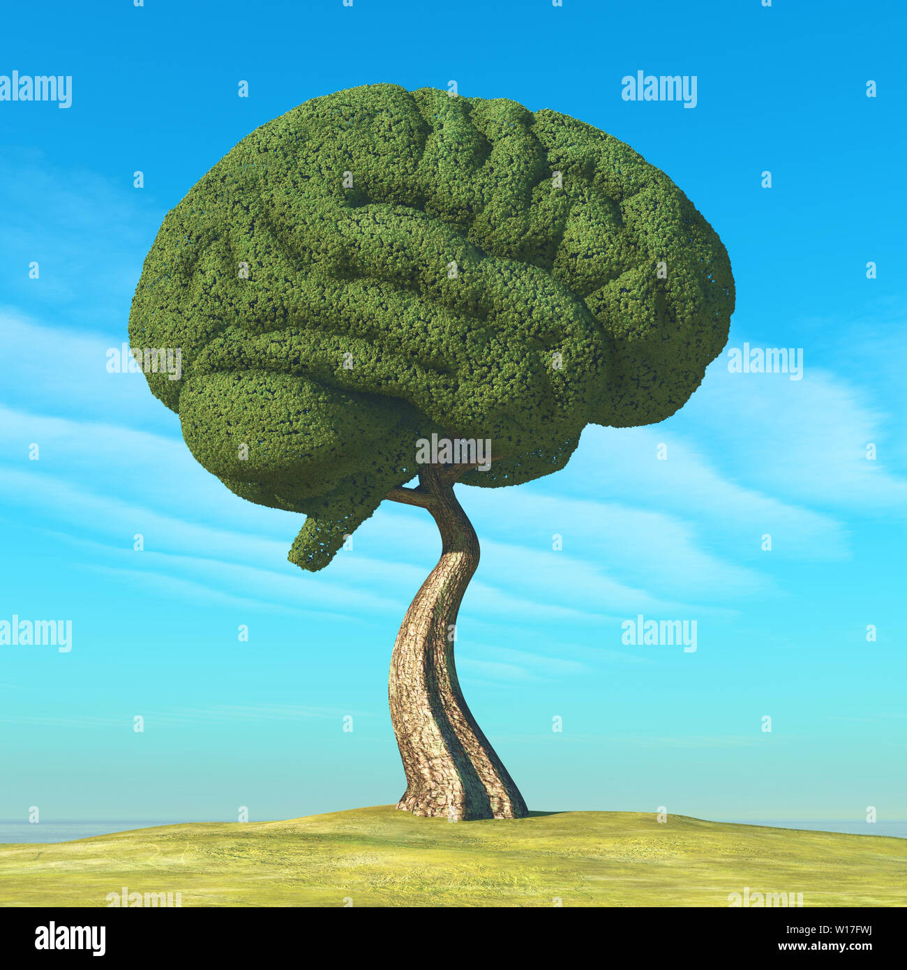 Human brain tree hi-res stock photography and images - Alamy