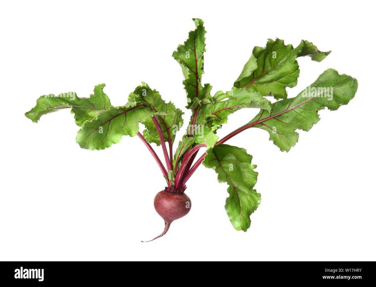 Fresh beet on white background Stock Photo - Alamy