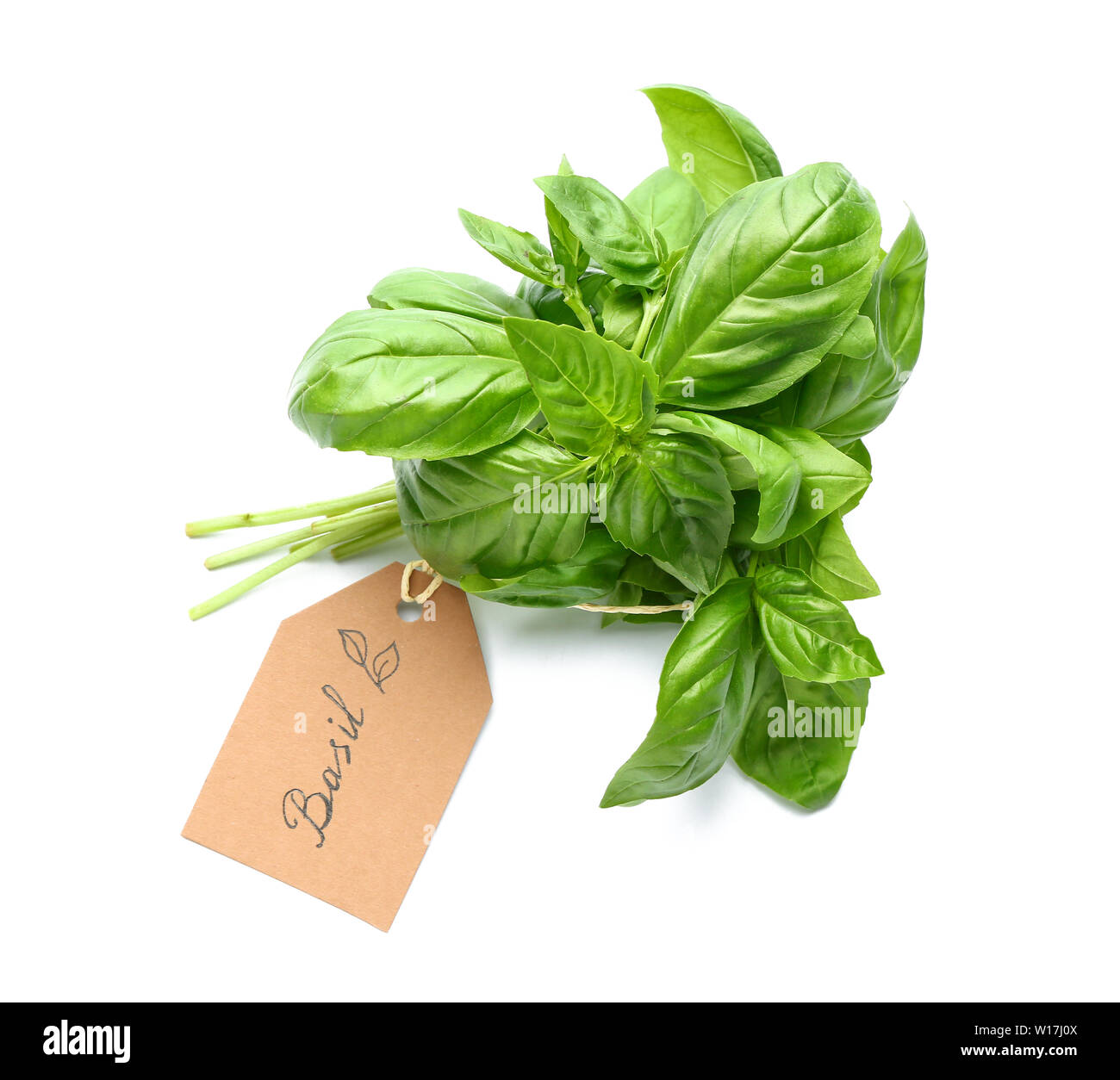 Fresh green basil with tag on white background Stock Photo - Alamy